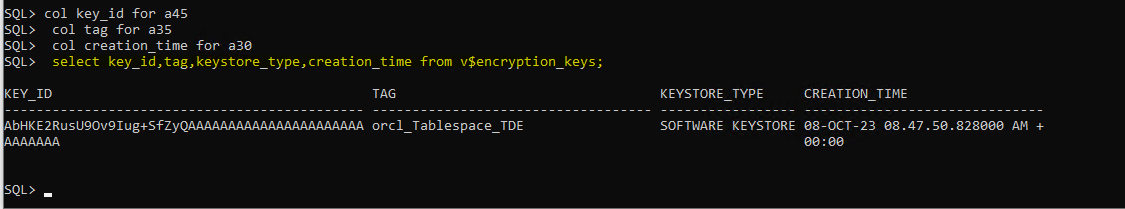 Setup TDE Encryption In Oracle 19c Database – DBA Notes