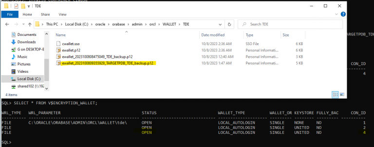 Setup Tde Encryption In Oracle 19c Database Dba Notes