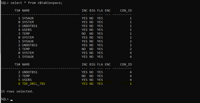 Setup TDE Encryption In Oracle 19c Database – DBA Notes