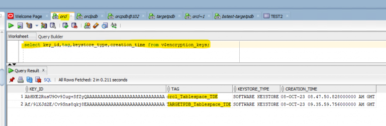 Setup TDE Encryption In Oracle 19c Database – DBA Notes