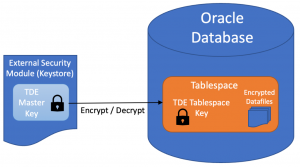 Setup TDE Encryption In Oracle 19c Database – DBA Notes
